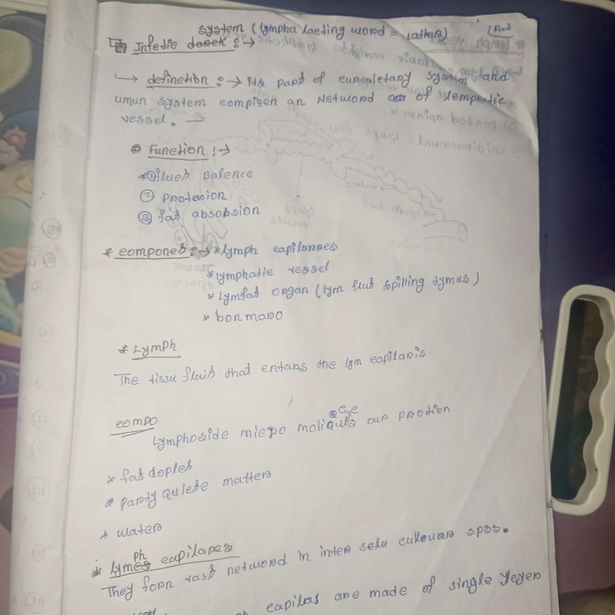 Here are some notes on the lymphatic system. Please review and provide a