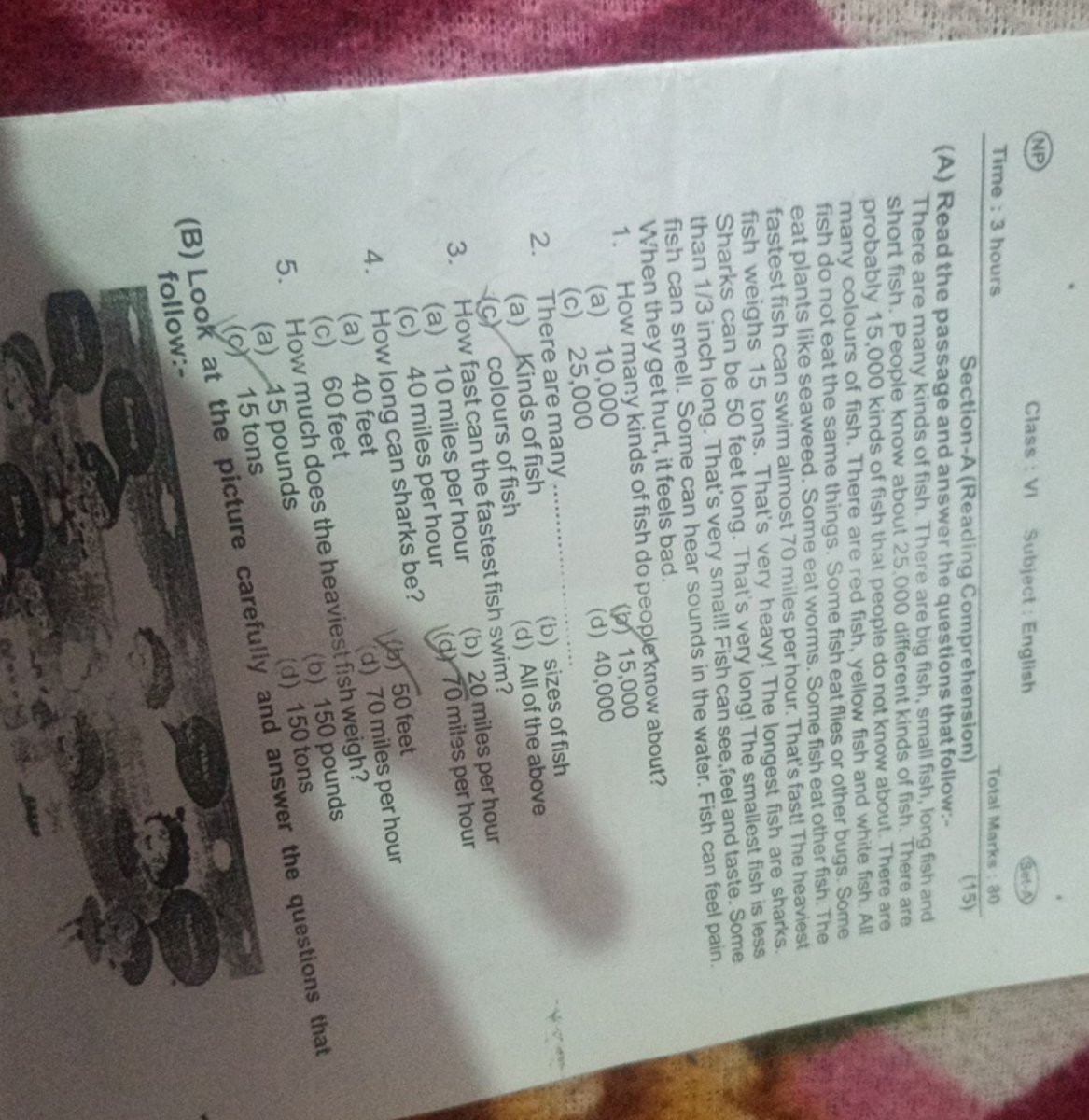 Section-A (Reading Comprehension) (A) Read the passage and answer the que..