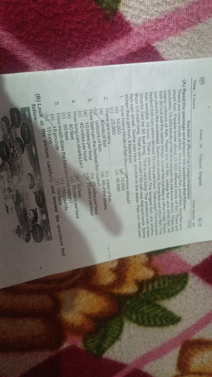 Section-A (Reading Comprehension) (A) Read the passage and answer the que..