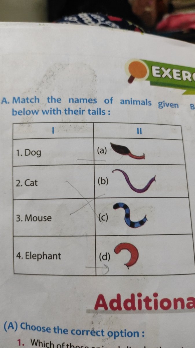 Match the names of animals given below with their tails: | | I