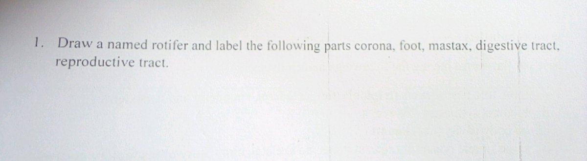 Draw a named rotifer and label the following parts: corona, foot, mastax,..