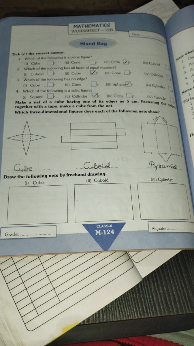Tick ( ) the correct answer. Which of the following is a plane figure?