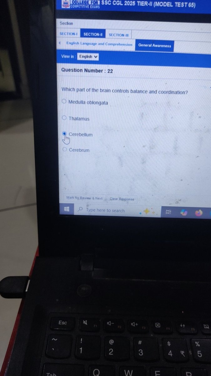Which part of the brain controls balance and coordination? Medulla oblon..