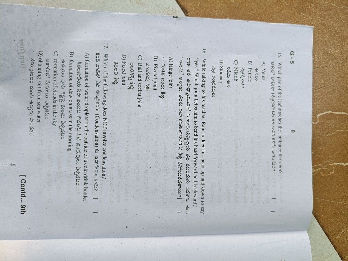 Which part of the leaf attaches the lamina to the stem? ఆకులో లామినా (పత్..