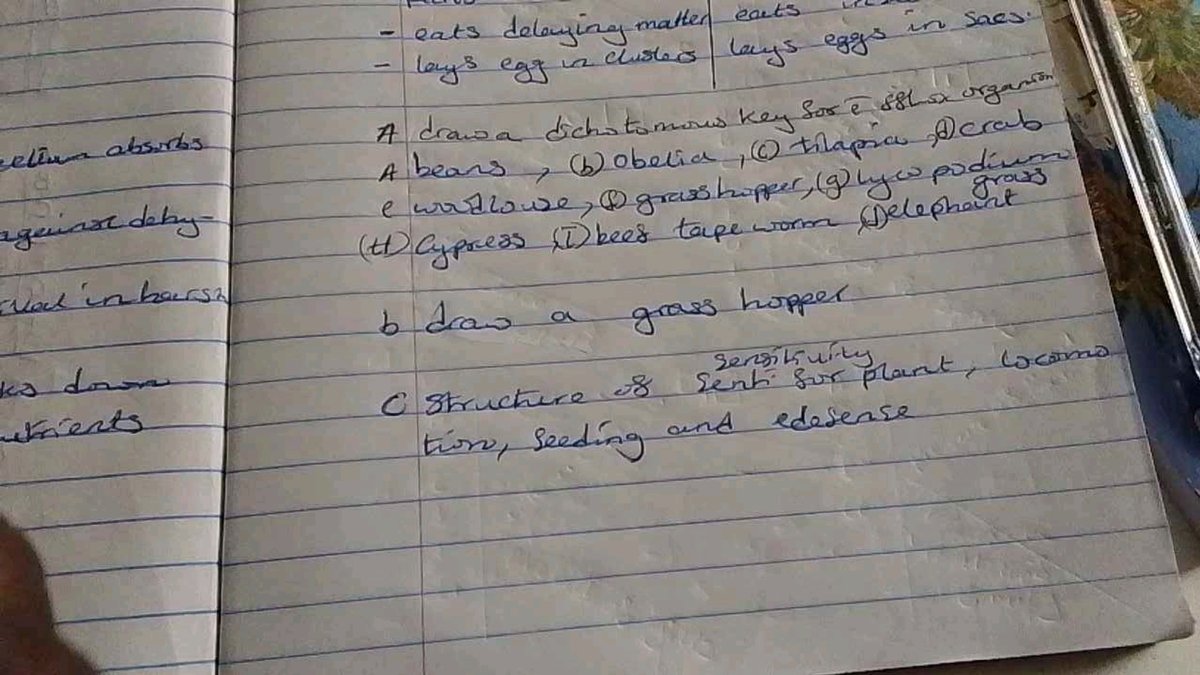 a) Draw a dichotomous key for the following organisms: A. Beans B.