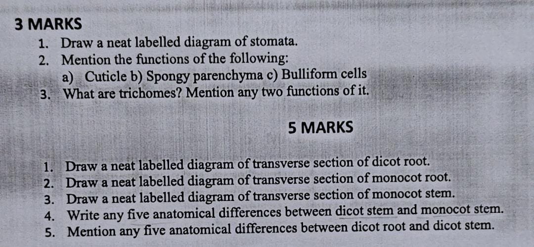 3 MARKS Draw a neat labelled diagram of stomata. Mention the functions o..