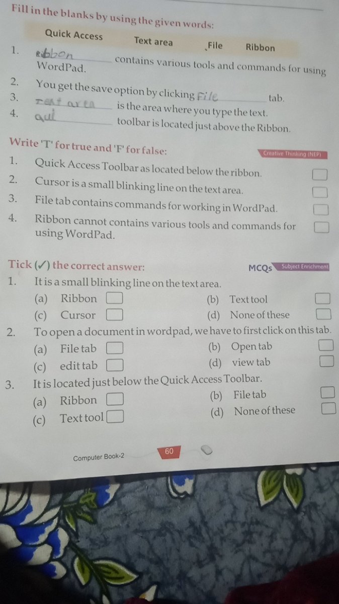 Fill in the blanks by using the given words: Quick Access, Text area, Fil..
