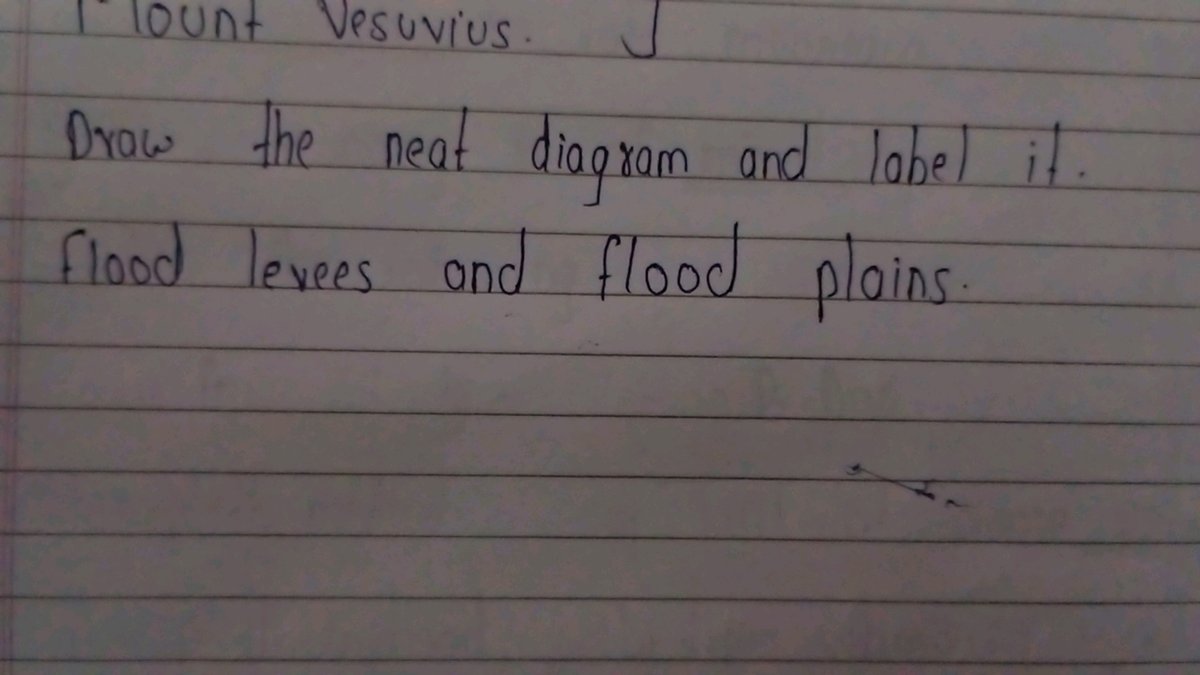 Draw a neat diagram and label it: flood levees and flood plains. | Filo