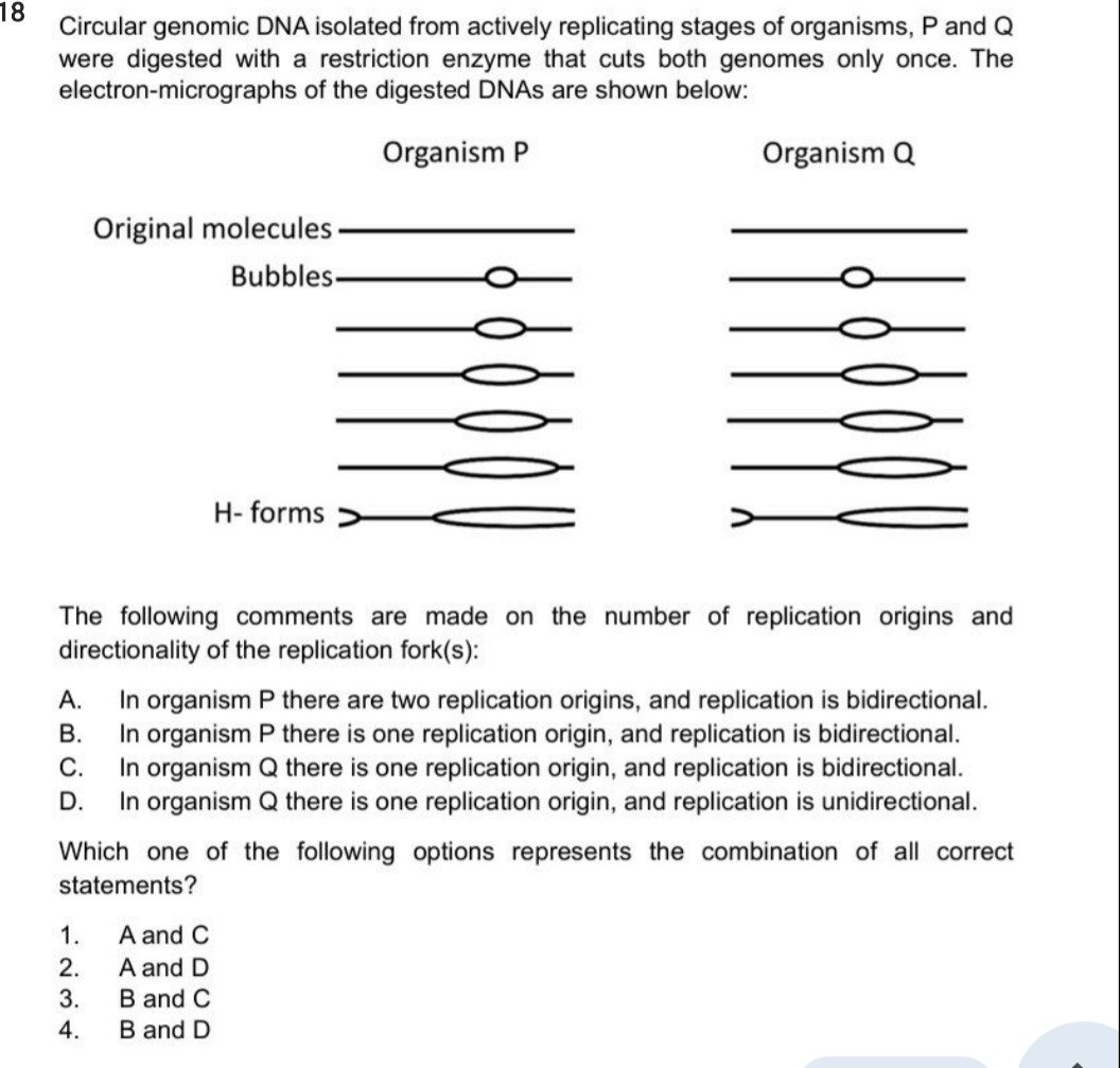 Circular genomic DNA isolated from actively replicating stages of organis..