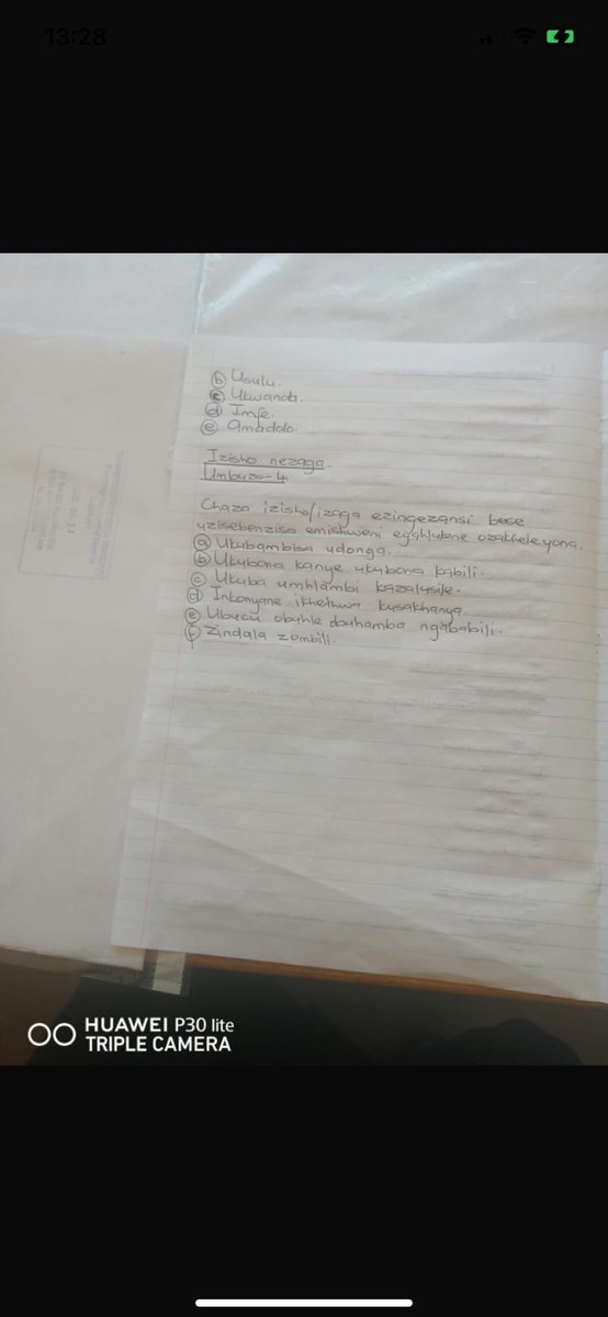 Izisho nezaga – Umbuzo 4 Chaza izisho/izaga ezingezansi bese uzisebenzis..