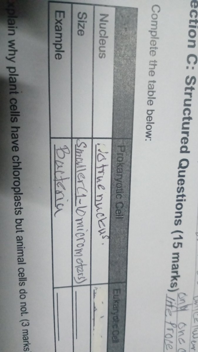 Complete the table below: | | Prokaryotic Cell | Eukaryotic Cell