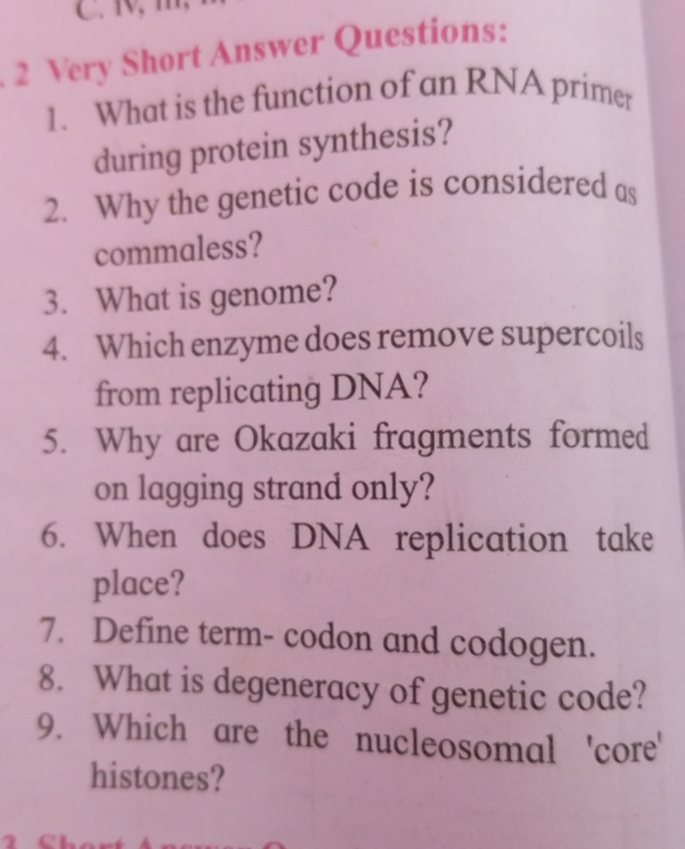 Very Short Answer Questions: What is the function of an RNA primer during..