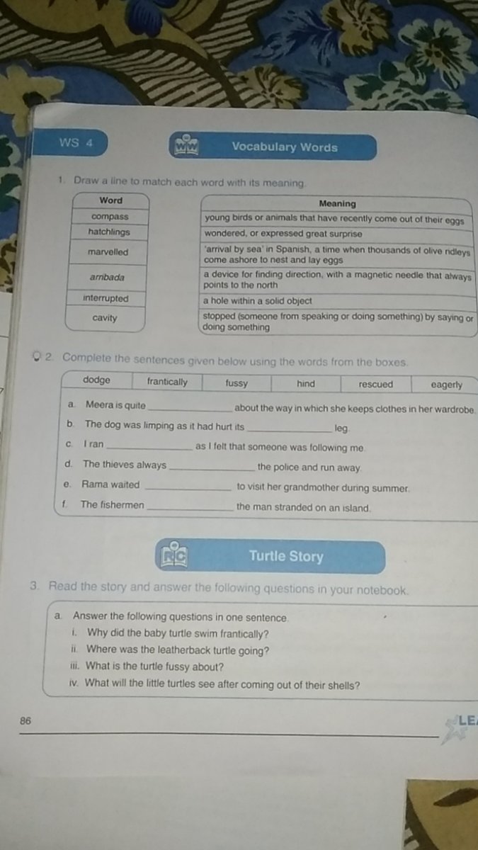 WS 4 Vocabulary Words Draw a line to match each word with its meaning.