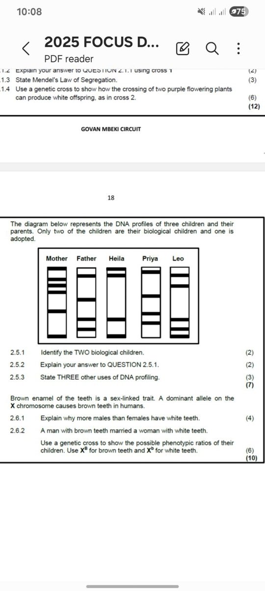 The diagram below represents the DNA profiles of three children and their..