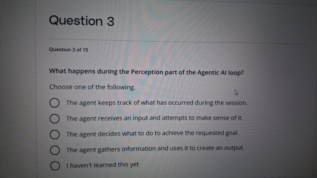What happens during the Perception part of the Agentic AI loop? Choose o..