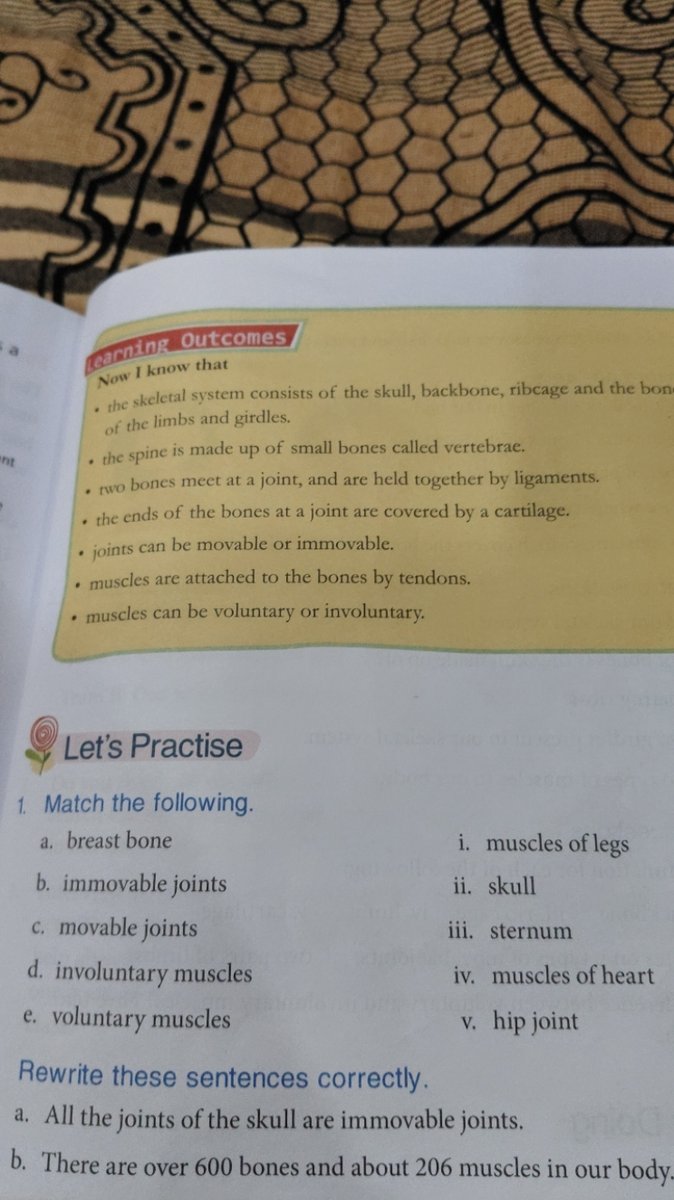 Match the following: a. breast bone i. muscles of legs b. immovable joi..