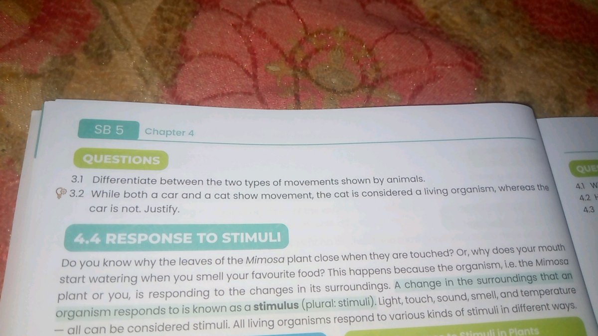 1 Differentiate between the two types of movements shown by animals. 2 Wh..