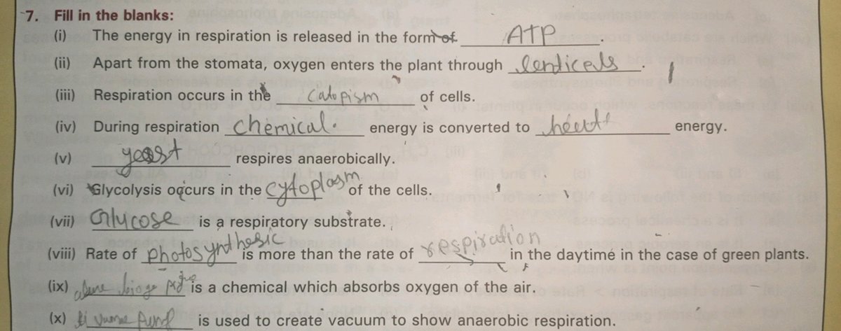 Fill in the blanks: (i) The energy in respiration is released in the form..
