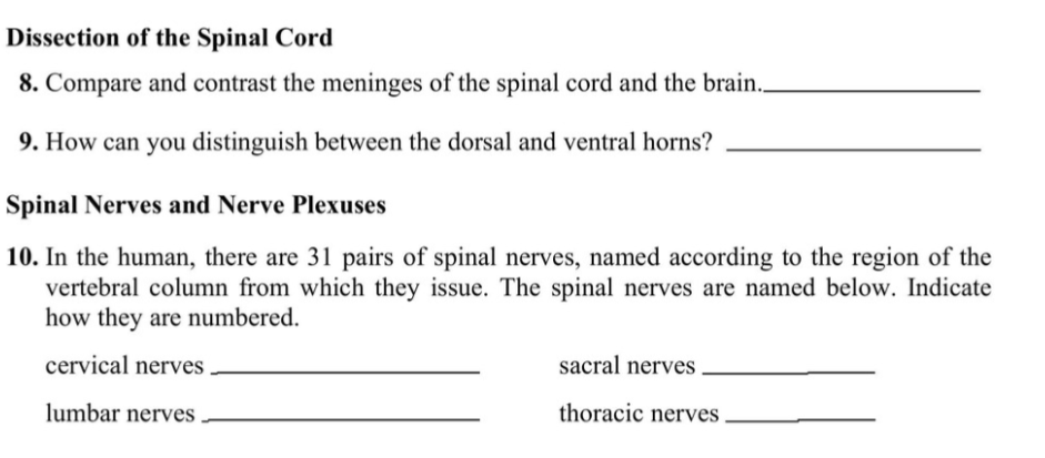 Dissection of the Spinal Cord Compare and contrast the meninges of the s..