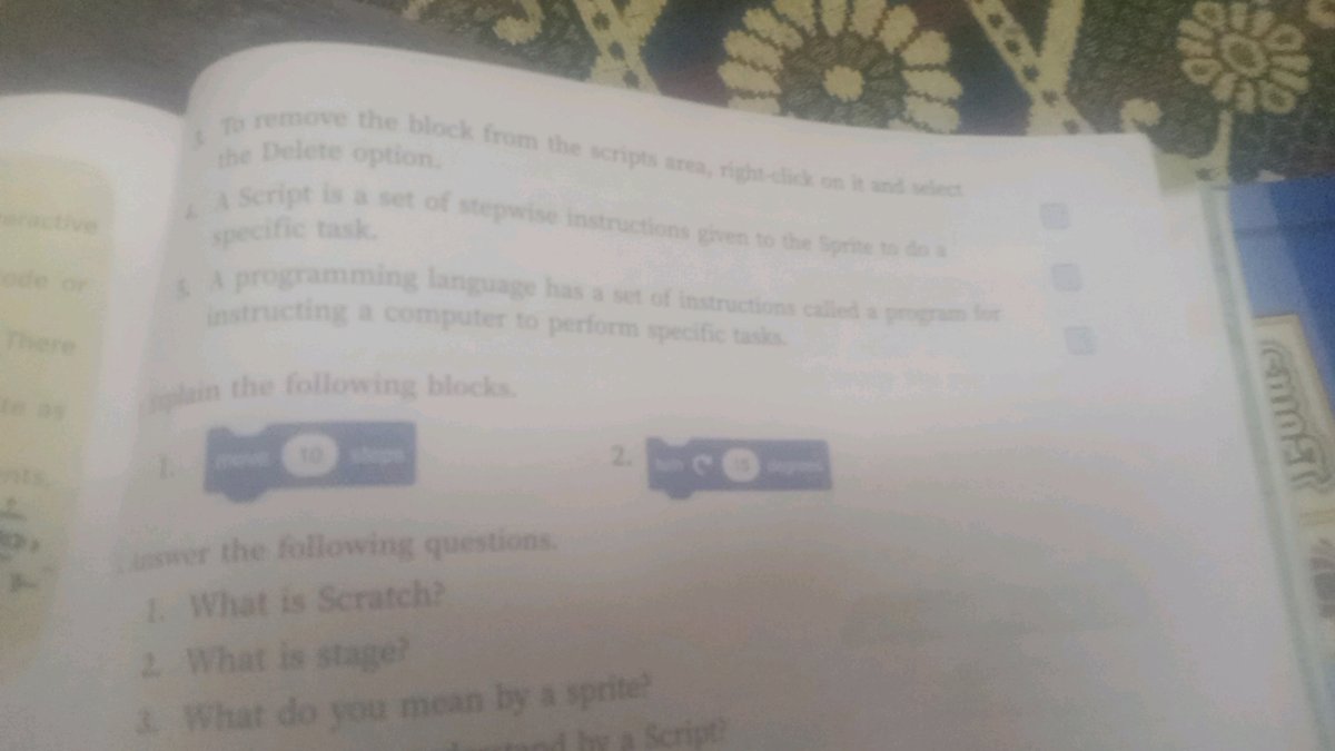 Answer the following questions. What is Scratch? What is stage? What do y..