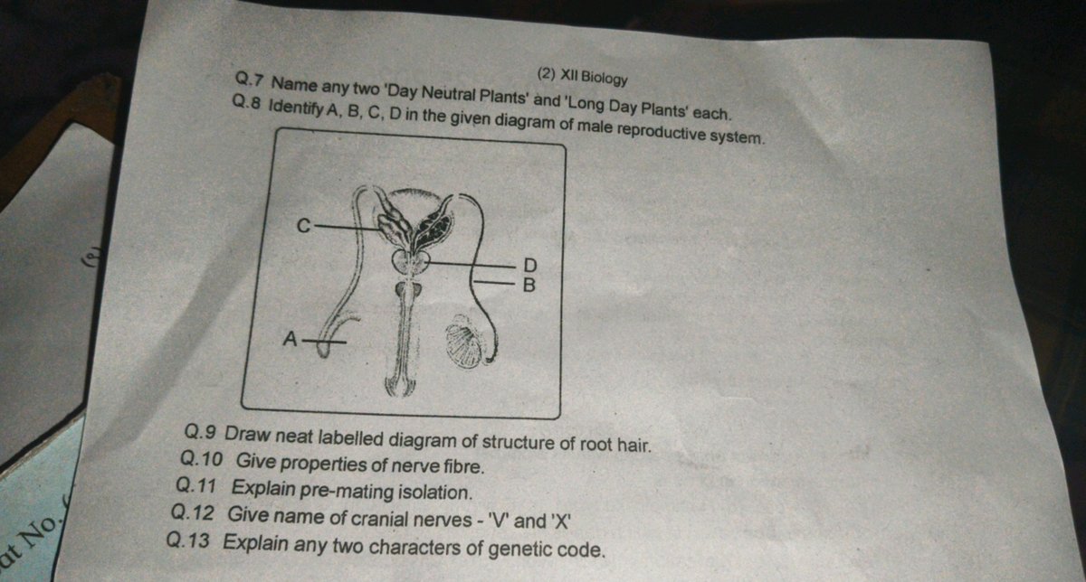 Q.7 Name any two 'Day Neutral Plants' and 'Long Day Plants' each. Q.8 Ide..