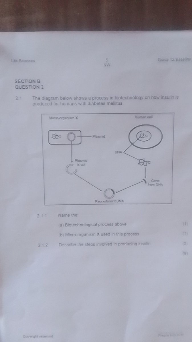 SECTION B QUESTION 2 2.1 The diagram below shows a process in biotechnol..