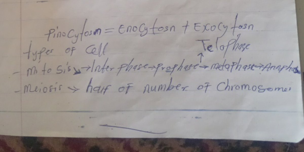 Pino Cyform = Enocytoan + Exocytosin types of Cell Mitosis: Interphase ->..