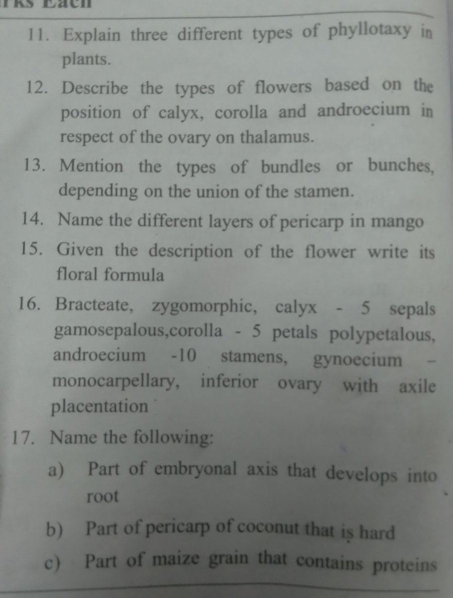 Explain three different types of phyllotaxy in plants. Describe the types..