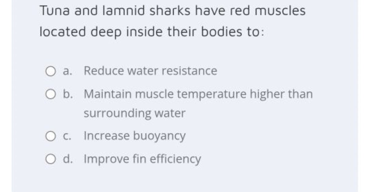 Tuna and lamnid sharks have red muscles located deep inside their bodies