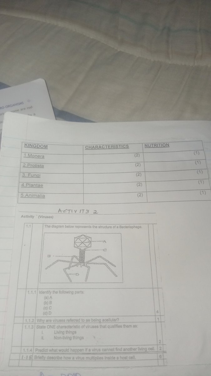ACTIVITY 2 Activity (Viruses) 1.1 The diagram below represents the struc..