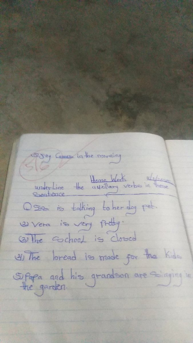 Underline the auxiliary verbs in these sentences: Osesi is talking to he..