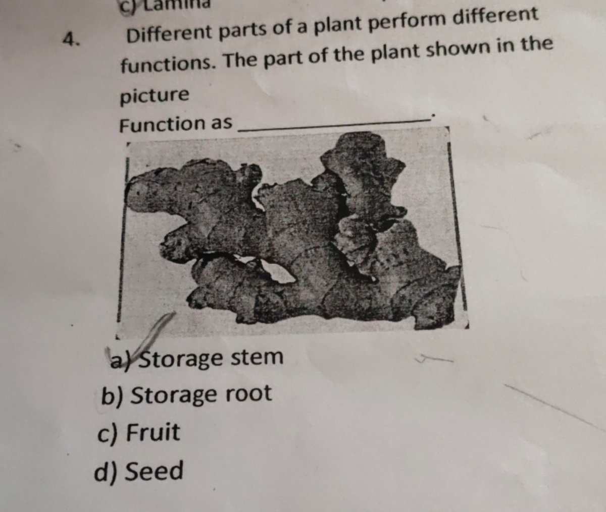 Different parts of a plant perform different functions. The part of the p..