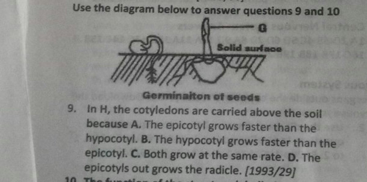 Use the diagram below to answer questions 9 and 10. Germination of seeds..