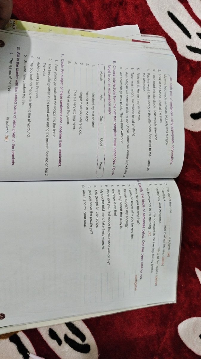 Here are several English grammar exercises: E. Choose interjections from..
