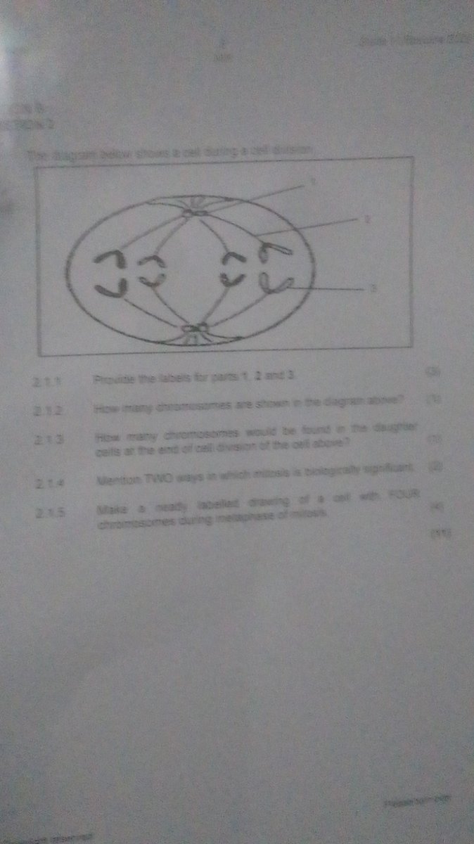 The diagram below shows a cell during a cell division. 2.1.1 Provide the..