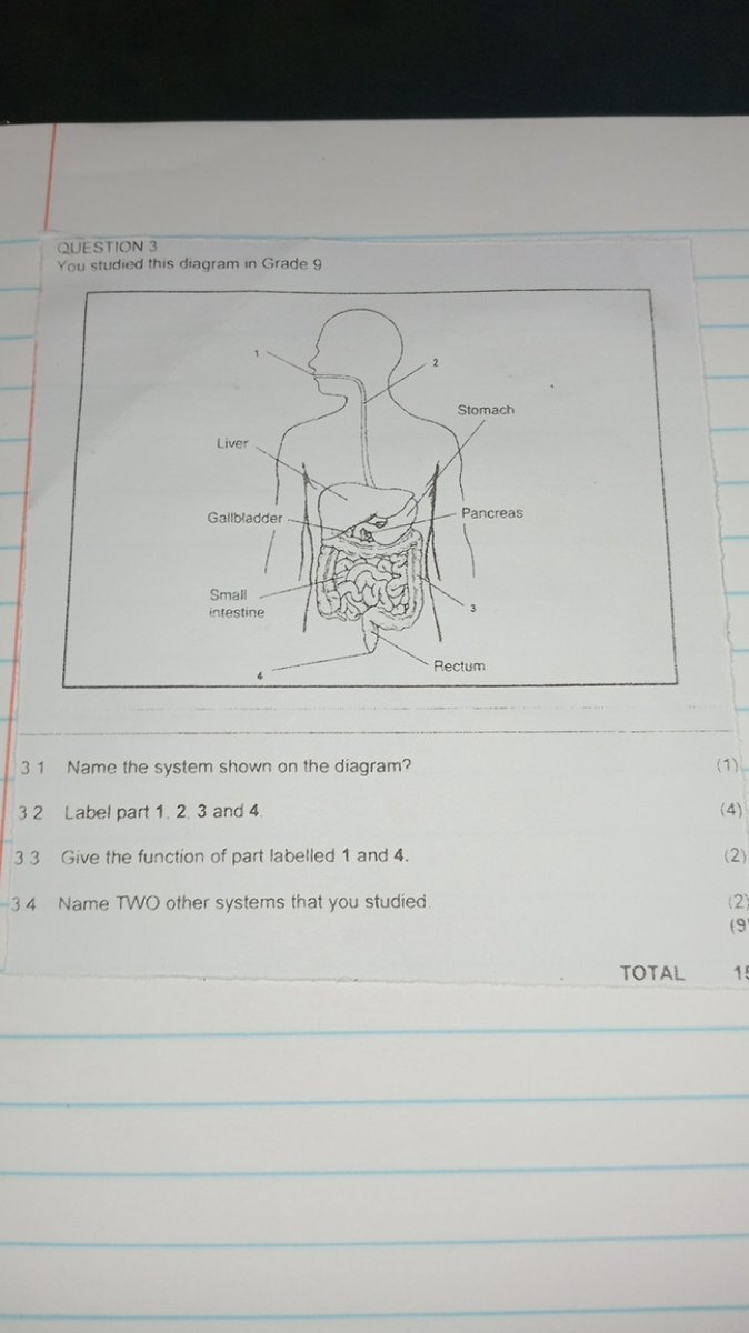QUESTION 3 You studied this diagram in Grade 9 [Diagram of the human dig..