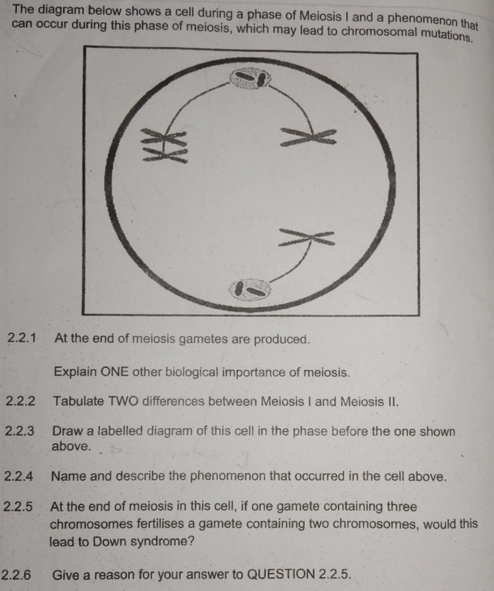 The diagram below shows a cell during a phase of Meiosis I and a phenomen..