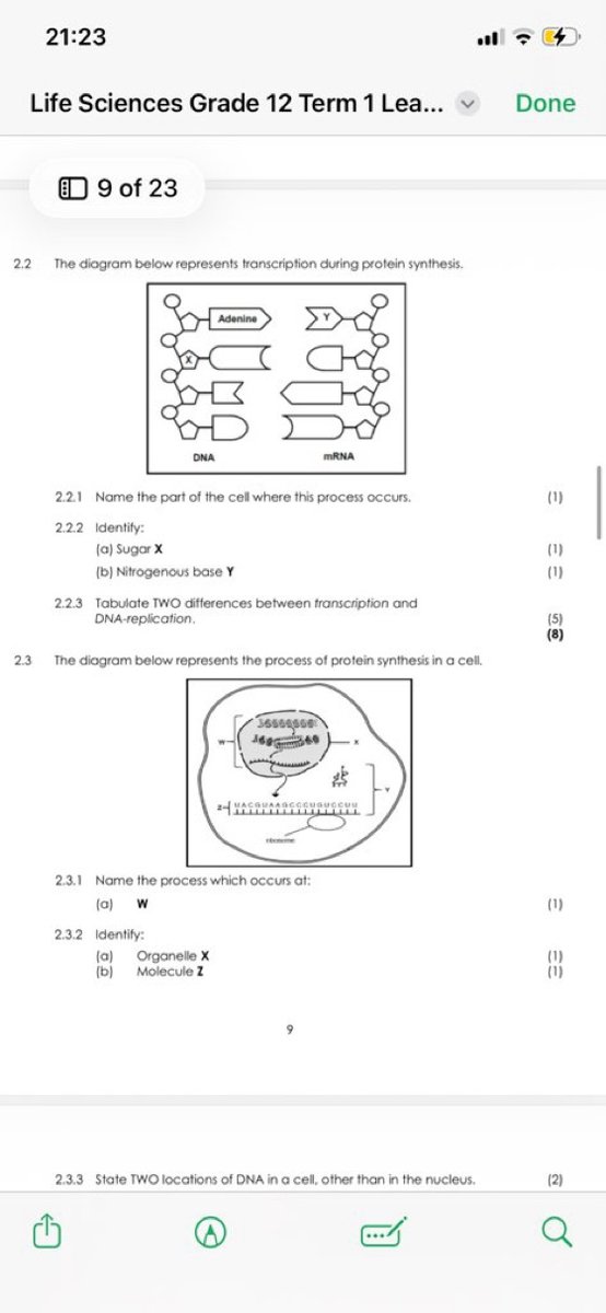 Life Sciences Grade 12 Term 1 Question 2.2 The diagram below represents