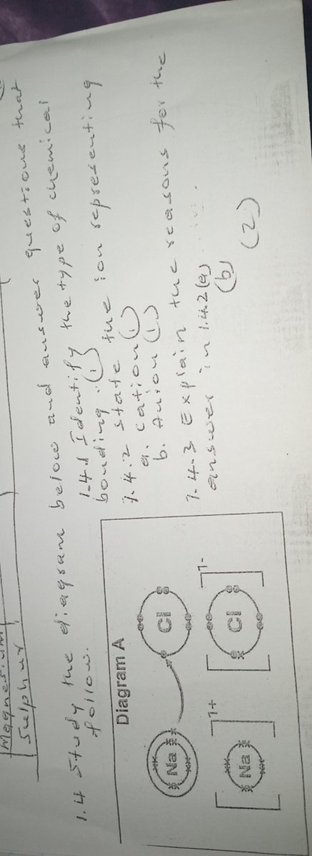 1.4 Study the diagram below and answer questions that follow. Diagram A