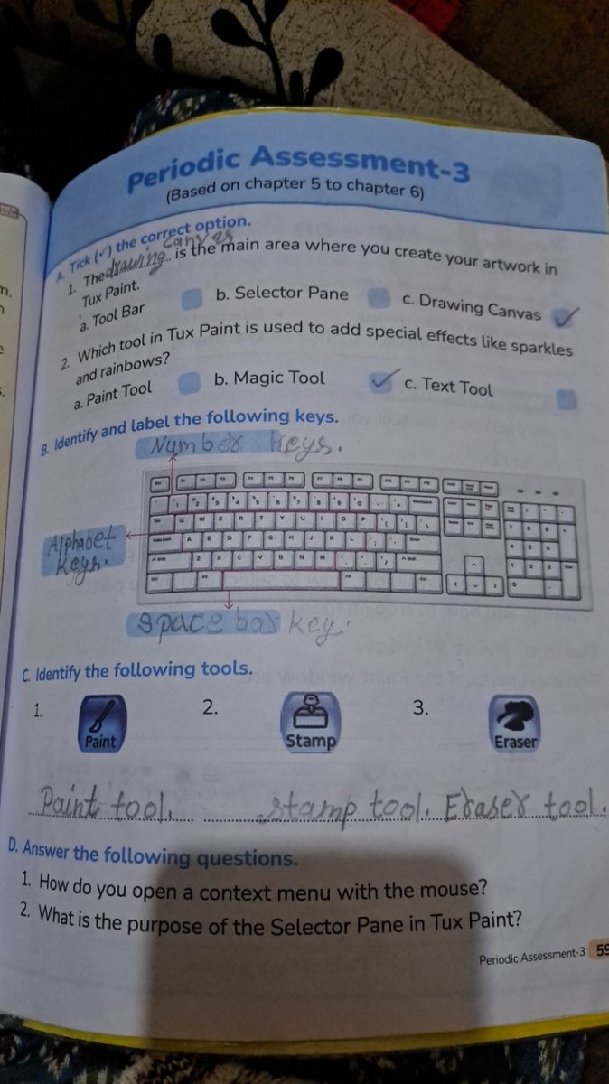 Periodic Assessment-3 (Based on chapter 5 to chapter 6) A. Tick ( ) the