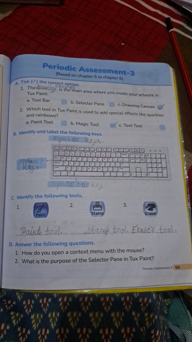 A. Tick ( ) the correct option. The drawing is the main area where you cr..