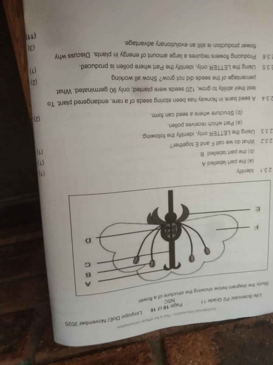 Study the diagram below showing the structure of a flower. 2.3.1 Identif..