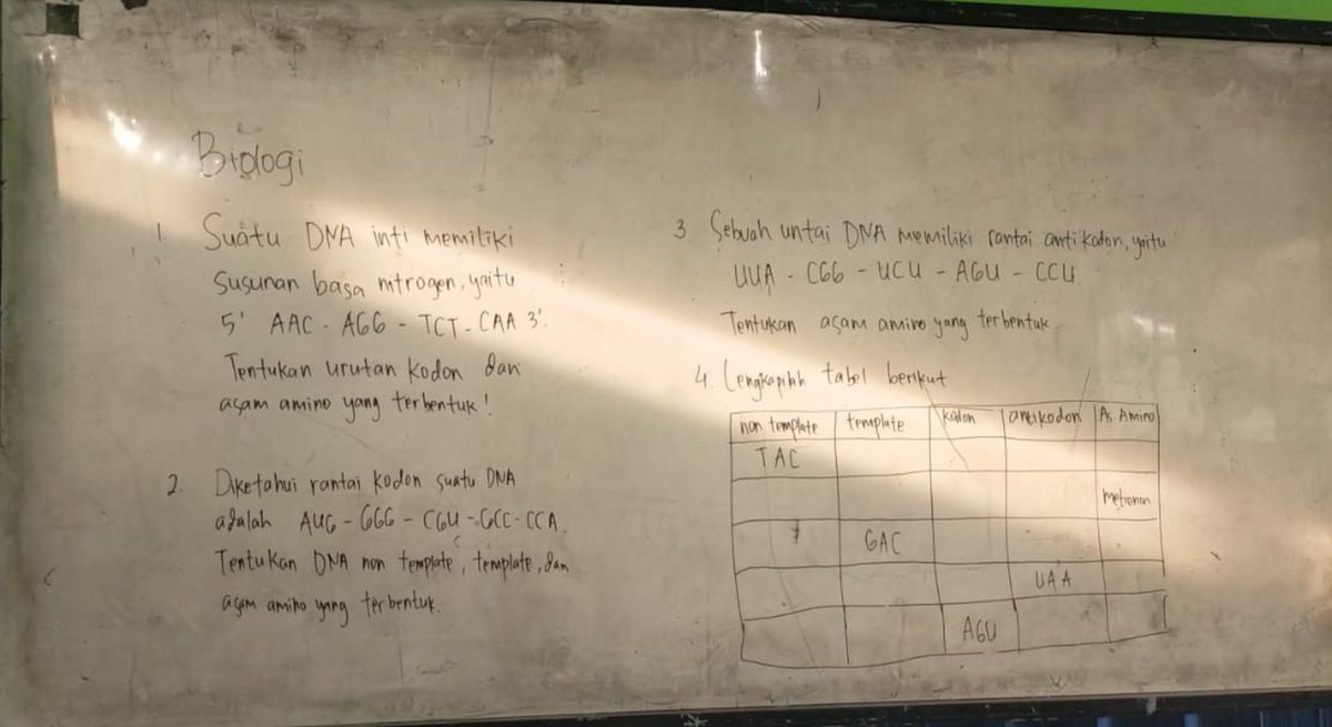 Biologi Suatu DNA inti memiliki susunan basa nitrogen, yaitu 5' AAC - AG..