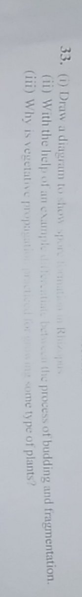 (i) Draw a diagram to show spore formation in Rhizopus. (ii) With the hel..