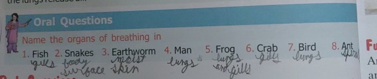 Name the organs of breathing in: Fish Snakes Earthworm Man Frog Crab Bird..