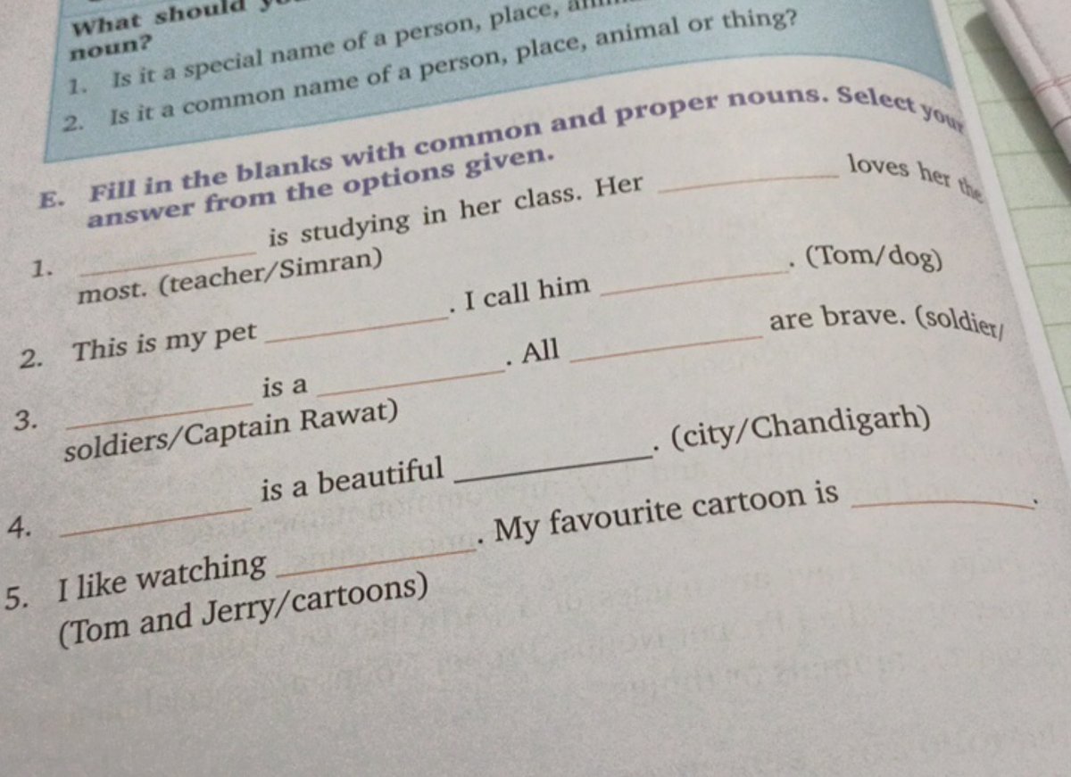 Fill in the blanks with common and proper nouns. Select your answer from