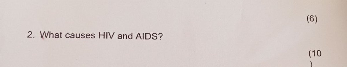 What causes HIV and AIDS? | Filo
