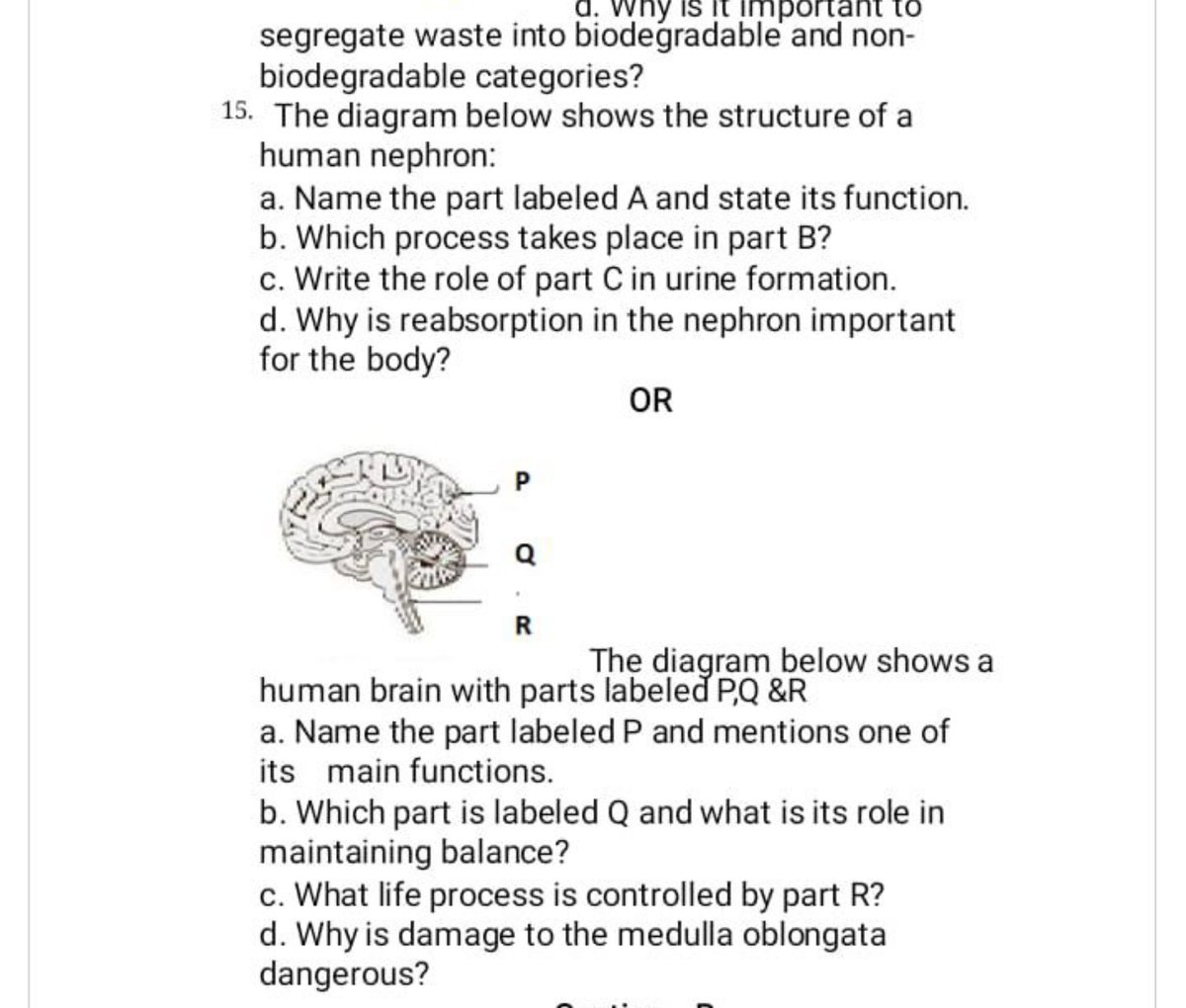 The diagram below shows the structure of a human nephron: a. Name the par..