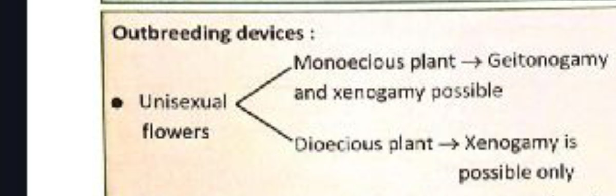 Outbreeding devices: Unisexual flowers Monoecious plant → Geitonogamy