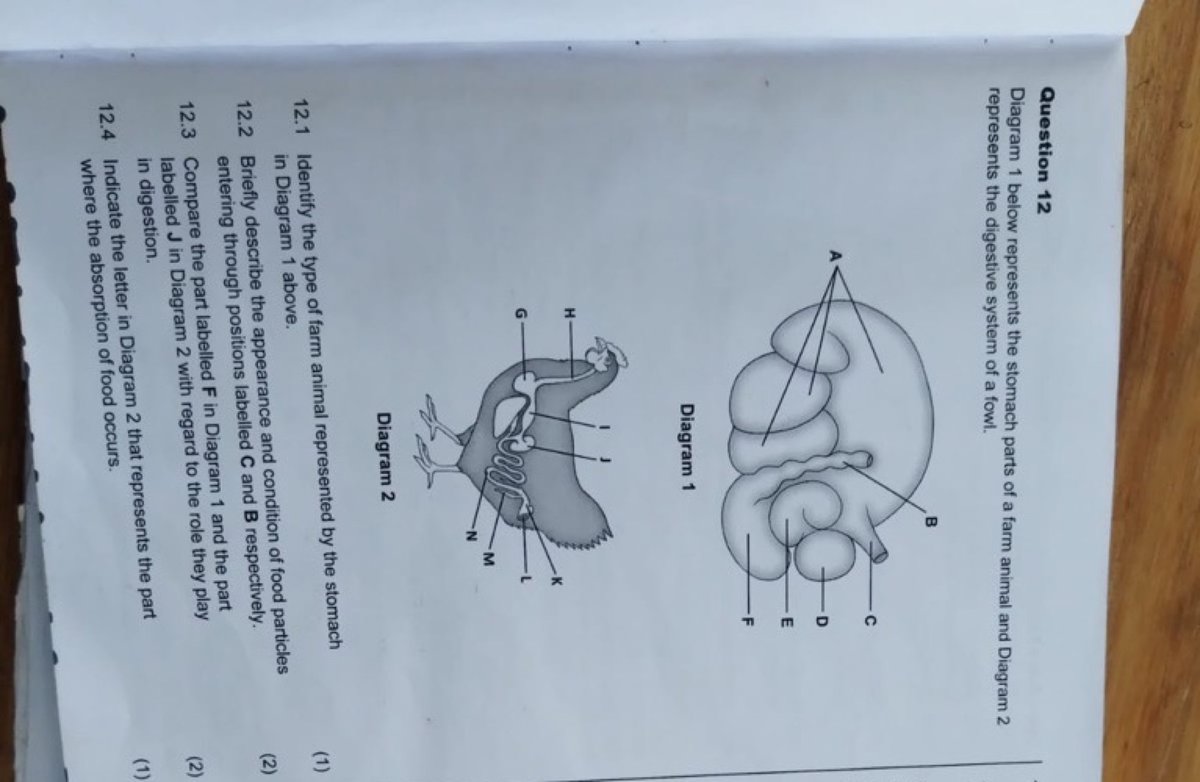 Question 12 Diagram 1 below represents the stomach parts of a farm animal..